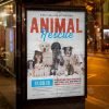 Download Animal Rescue Flyer - PSD Template | PSDmarket